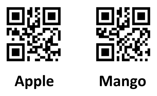 QR Code Scanner - Blocks, Python Functions, Projects | PictoBlox Extension