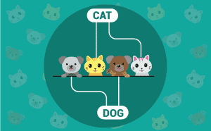 Object Detection - Blocks, Python Functions, Projects | PictoBlox Extension