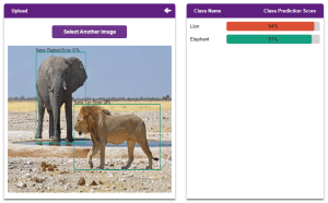 Object Detection (ML) - Blocks, Python Functions, Projects | PictoBlox ...