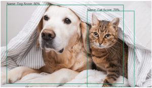Object Detection (ML) - Blocks, Python Functions, Projects | PictoBlox ...