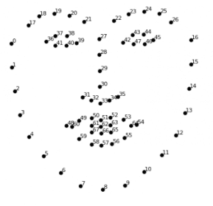 landmarksy() - Face Detection Library - Python Function