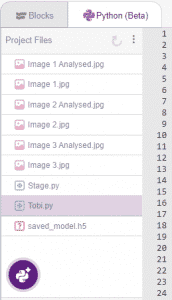 Getting Started with Image Classifier (ML) in Python - STEMpedia Education