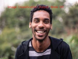 Getting Started with Image Classifier (ML) in Python - STEMpedia Education