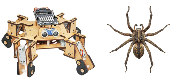 Quadruped Robot: A Four-Legged Exploration Robot - STEMpedia Education