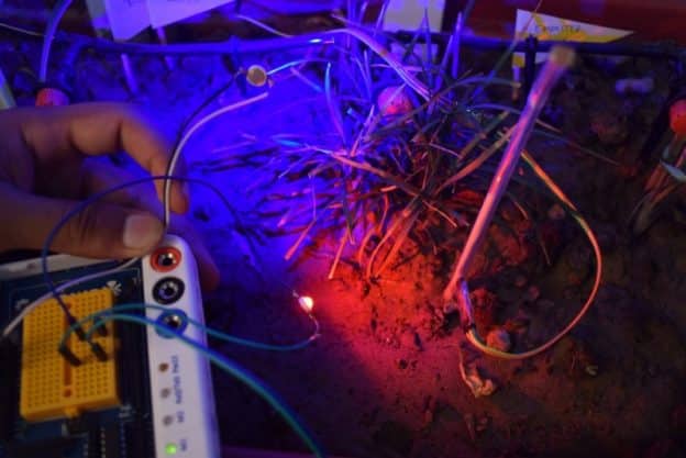Make an Automatic Plant Lighting System using Arduino & LDR sensor