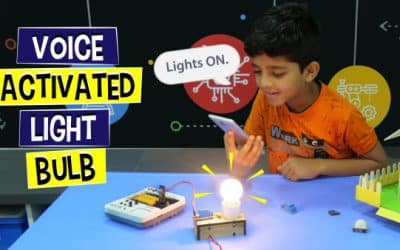 Projects Archive - STEMpedia Education